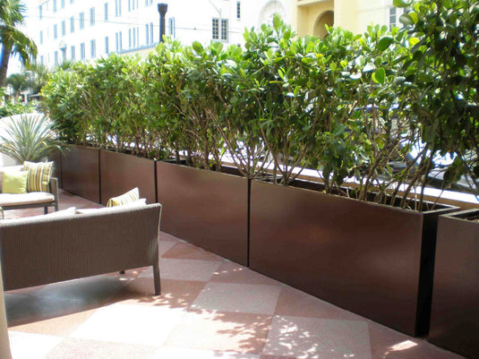 Premium Fiberglass Plant Pots Collection | Shop Now – Plant and Pot Co.