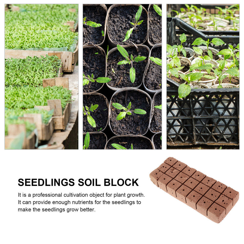 Seed Germination Cubes - Seeding Hydroponic / Soil Sponge - Pack of 10 ...
